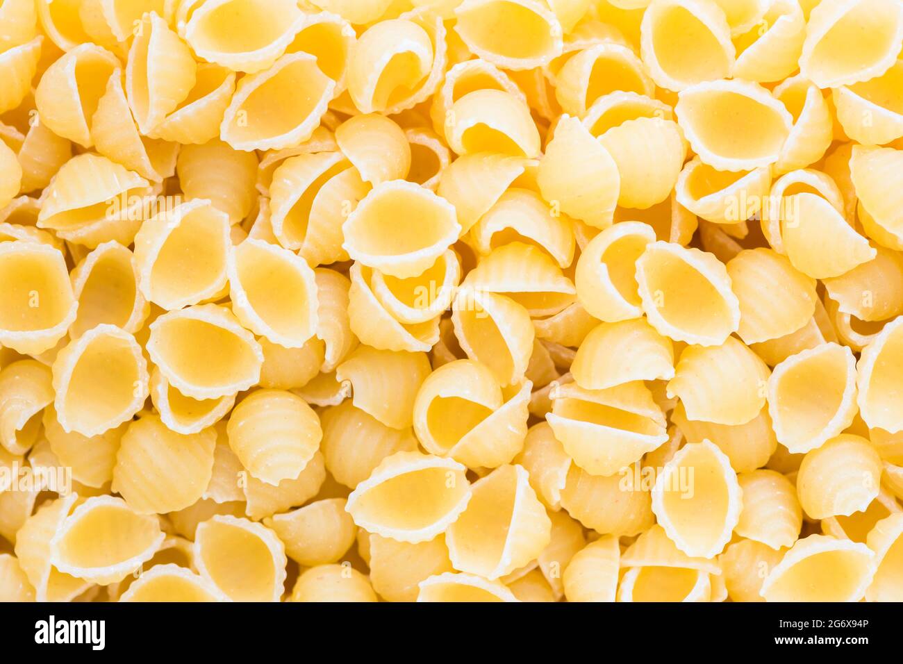 Conchiglie hi-res stock photography and images - Alamy