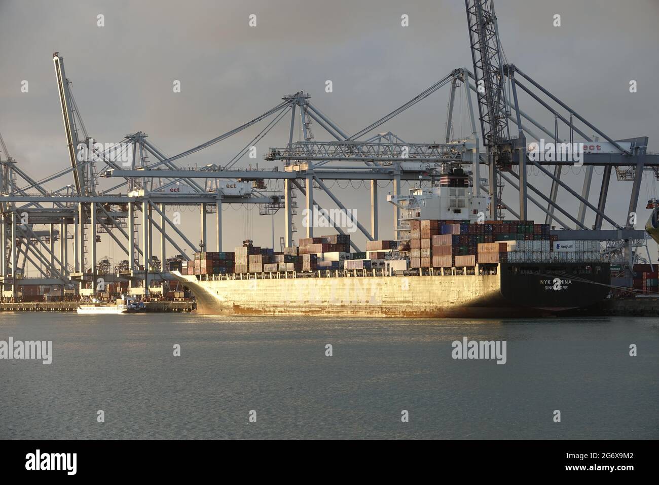 ECT Terminal Europoort Stock Photo - Alamy