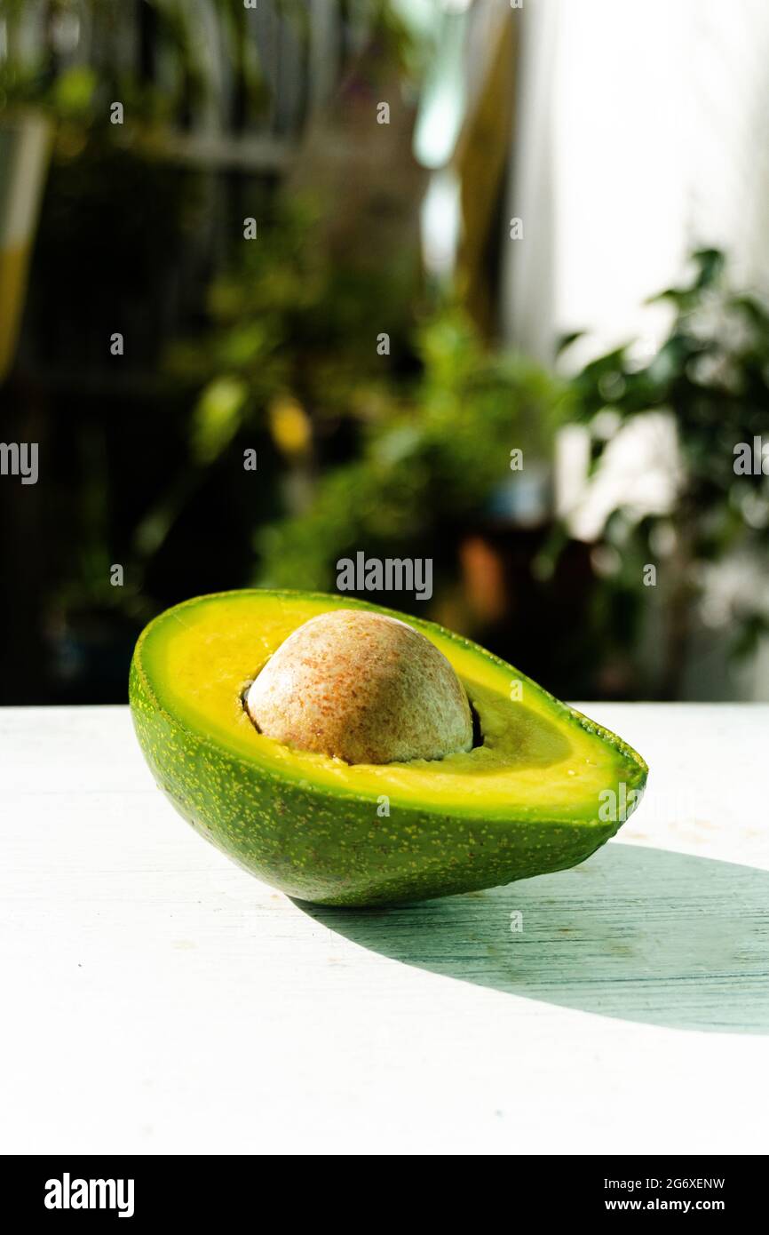 Avocado, tropical green fruit on a bright background, modern ...