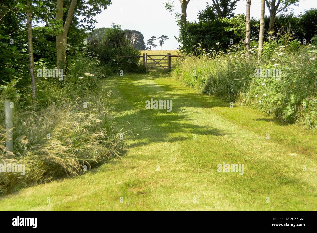 A grassy path leads through woods to a country gate. Long grass and ...