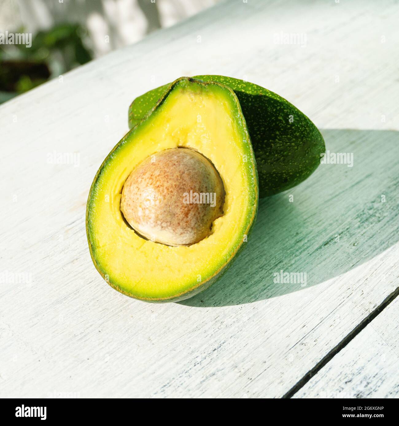 Avocado, tropical green fruit on a bright background, modern ...