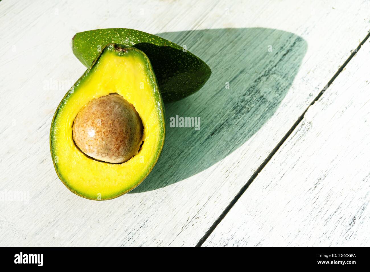Avocado, tropical green fruit on a bright background, modern ...