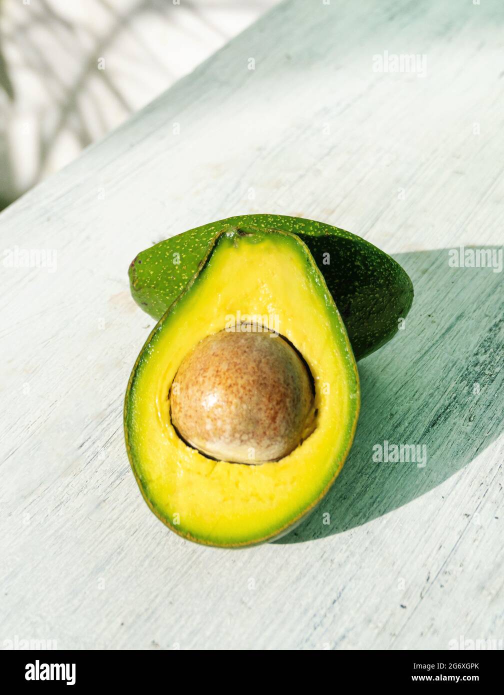 Avocado, tropical green fruit on a bright background, modern ...