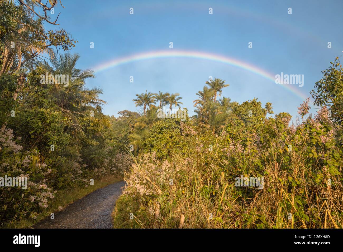 Rainbow caused by the spray generated by the kilotonne of water ...