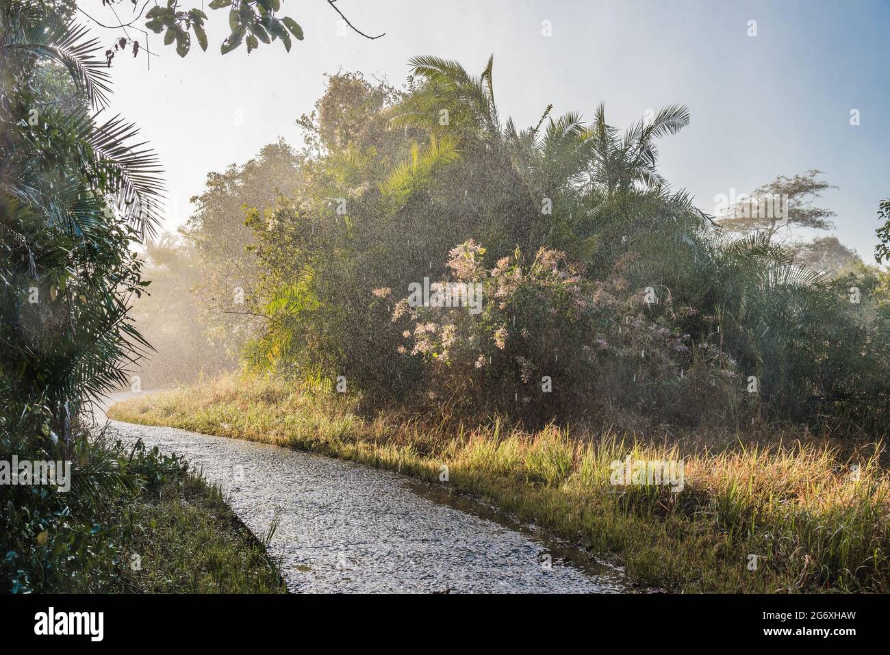 The kilotonne of water cascading over Victoria Falls every second ...