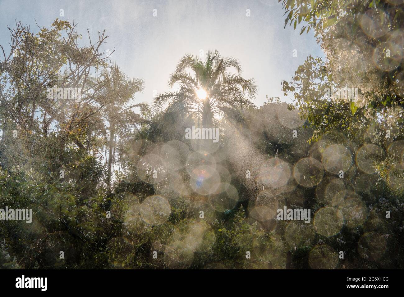 The kilotonne of water cascading over Victoria Falls every second ...