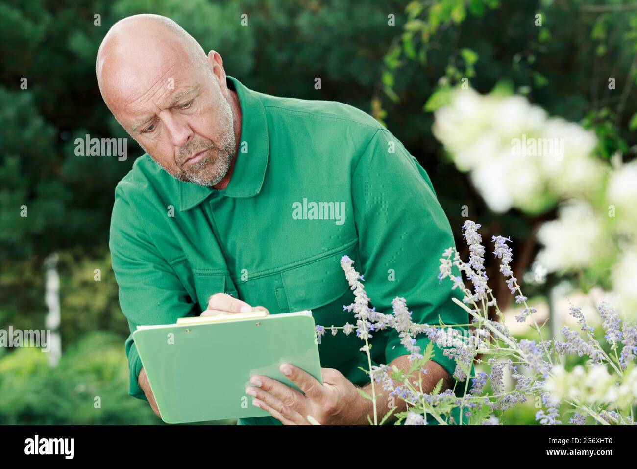 Thai agriculture research hi-res stock photography and images - Alamy