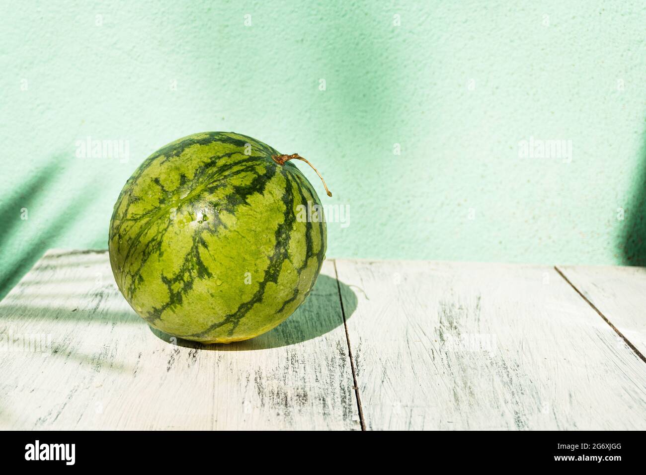 Watermelon, tropical fruit on a bright background, modern minimalist ...