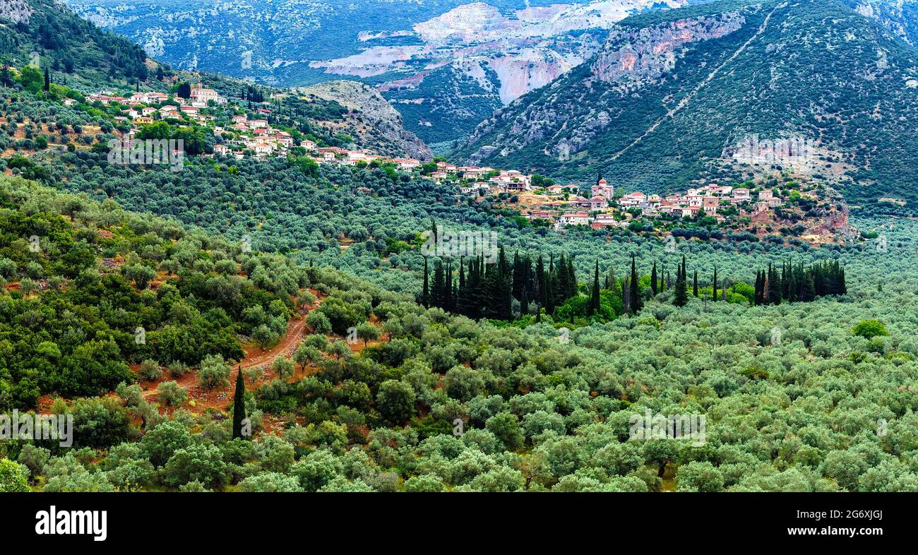 Phocis hi-res stock photography and images - Alamy