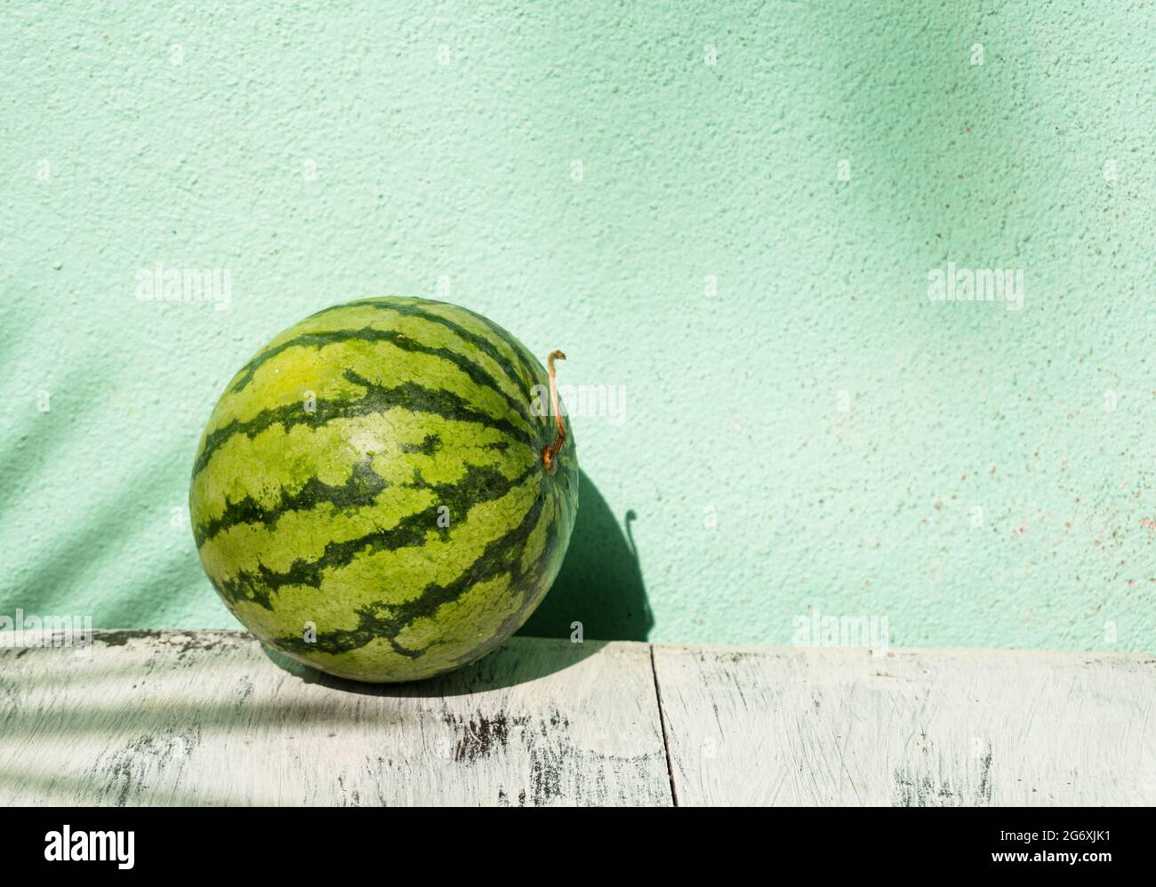 Watermelon, tropical fruit on a bright background, modern minimalist ...