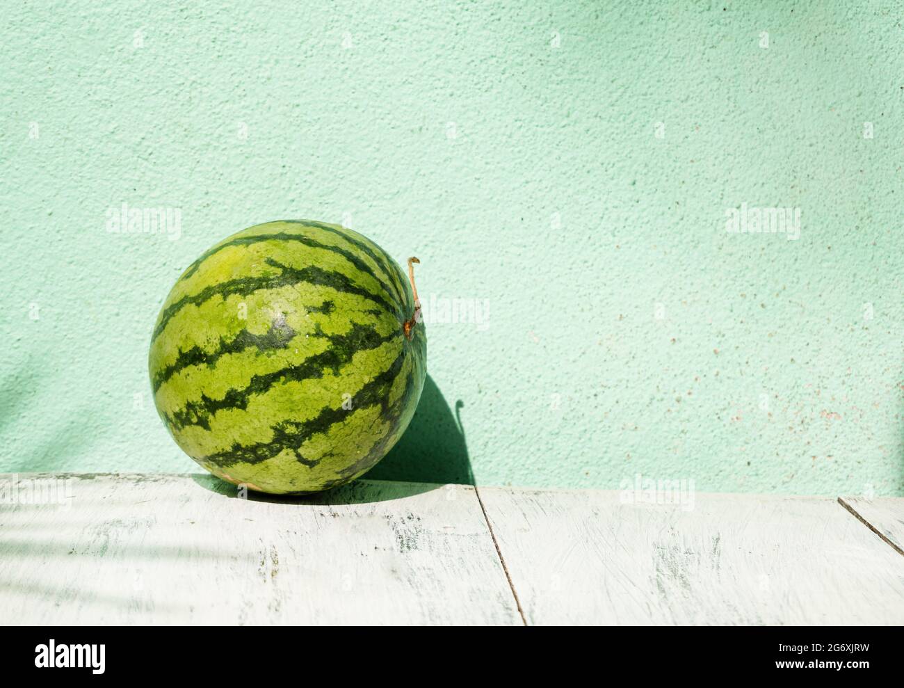 Watermelon, tropical fruit on a bright background, modern minimalist ...