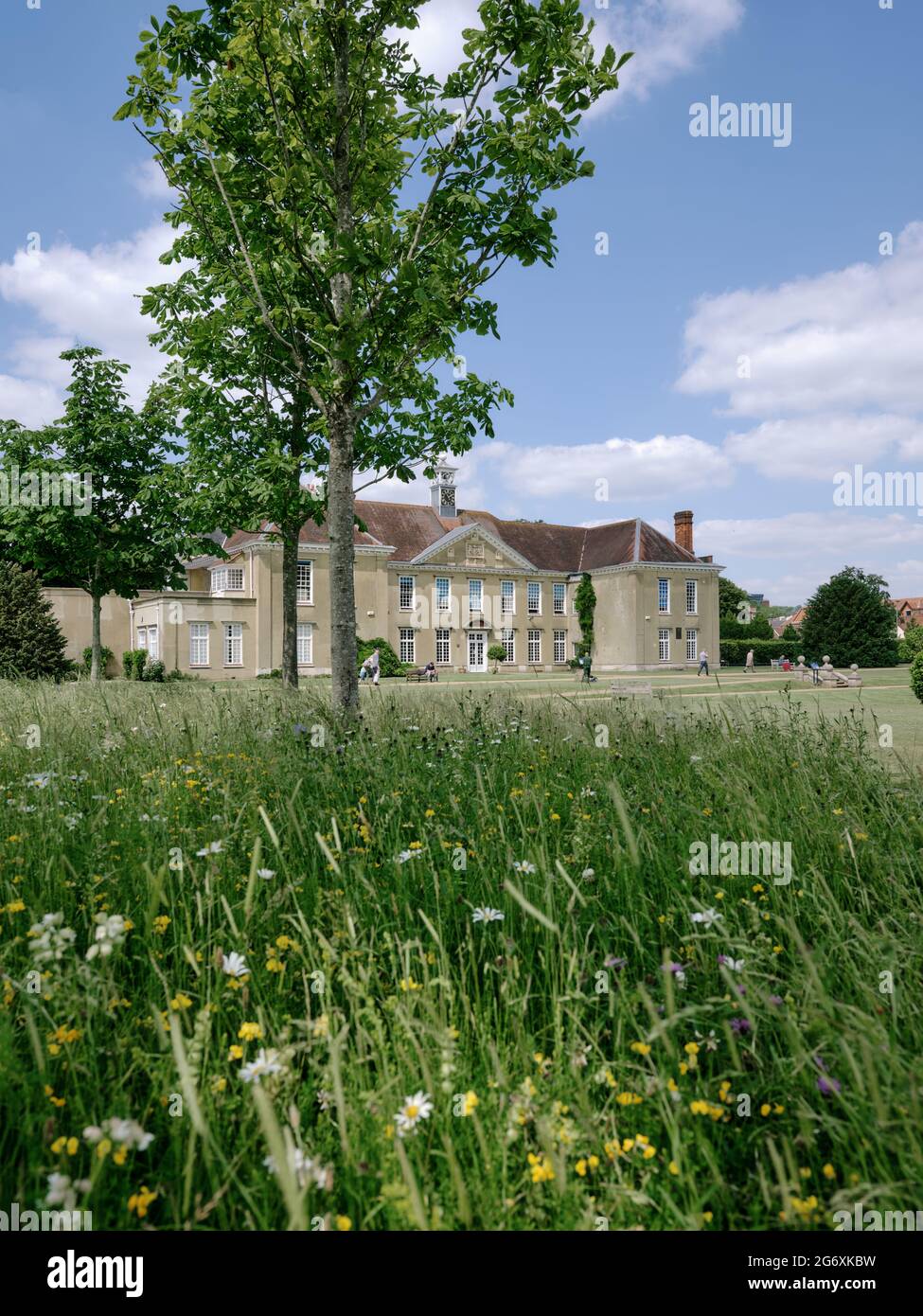 Reigate Summer Landscape - A summer day in Reigate Priory Park and a ...