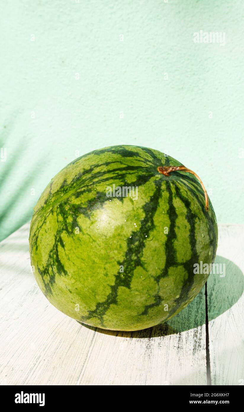 Watermelon, tropical fruit on a bright background, modern minimalist ...