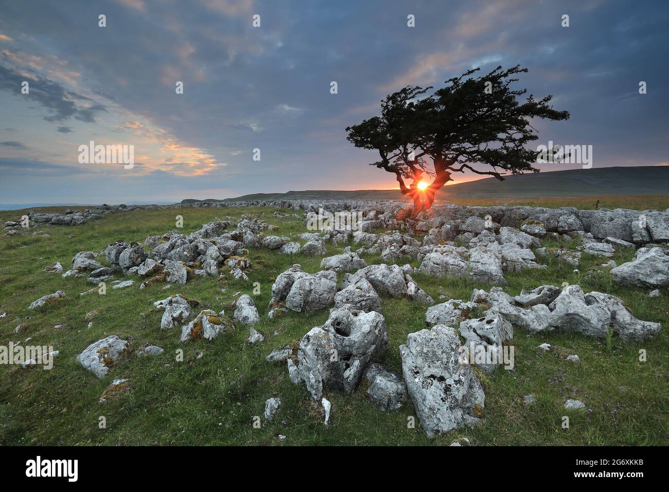 Sunset on limestone pavement known as Twistleton Scars, near to ...