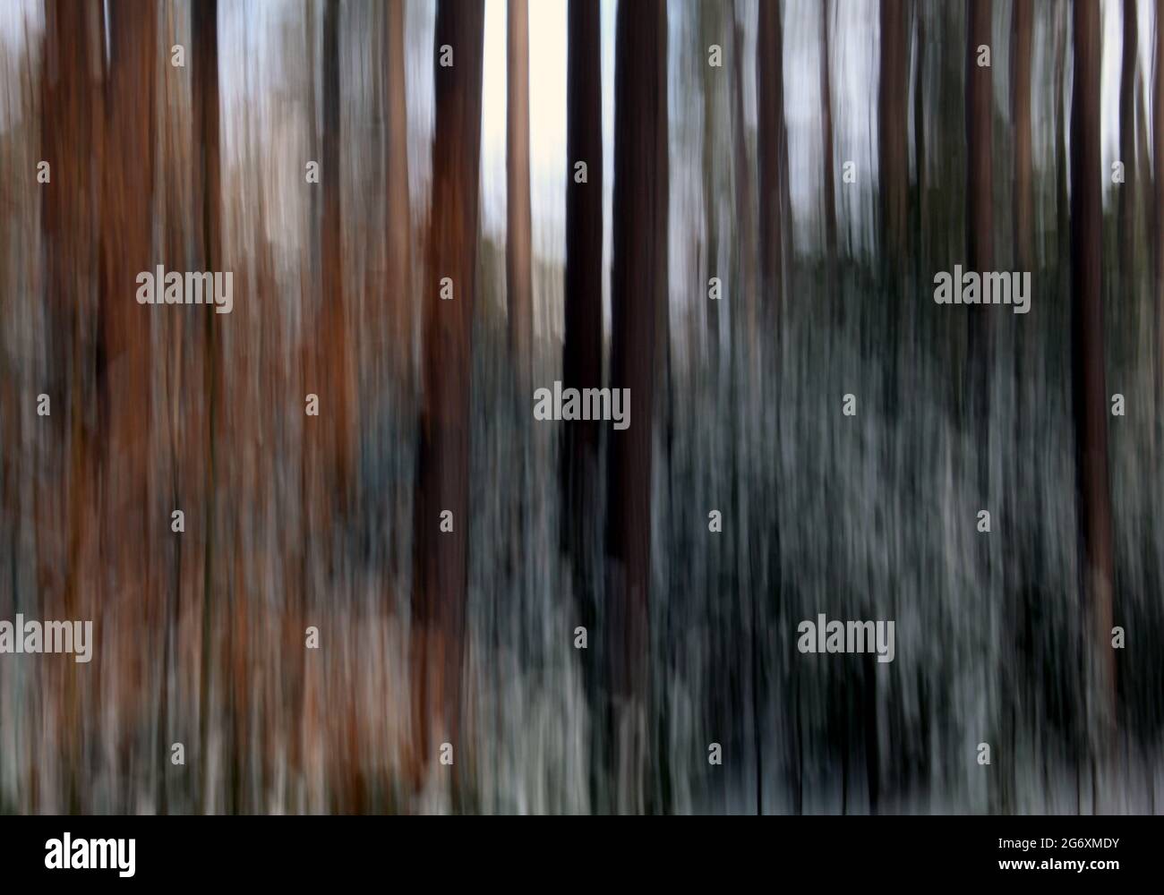 forest motion blur background abstract Stock Photo - Alamy