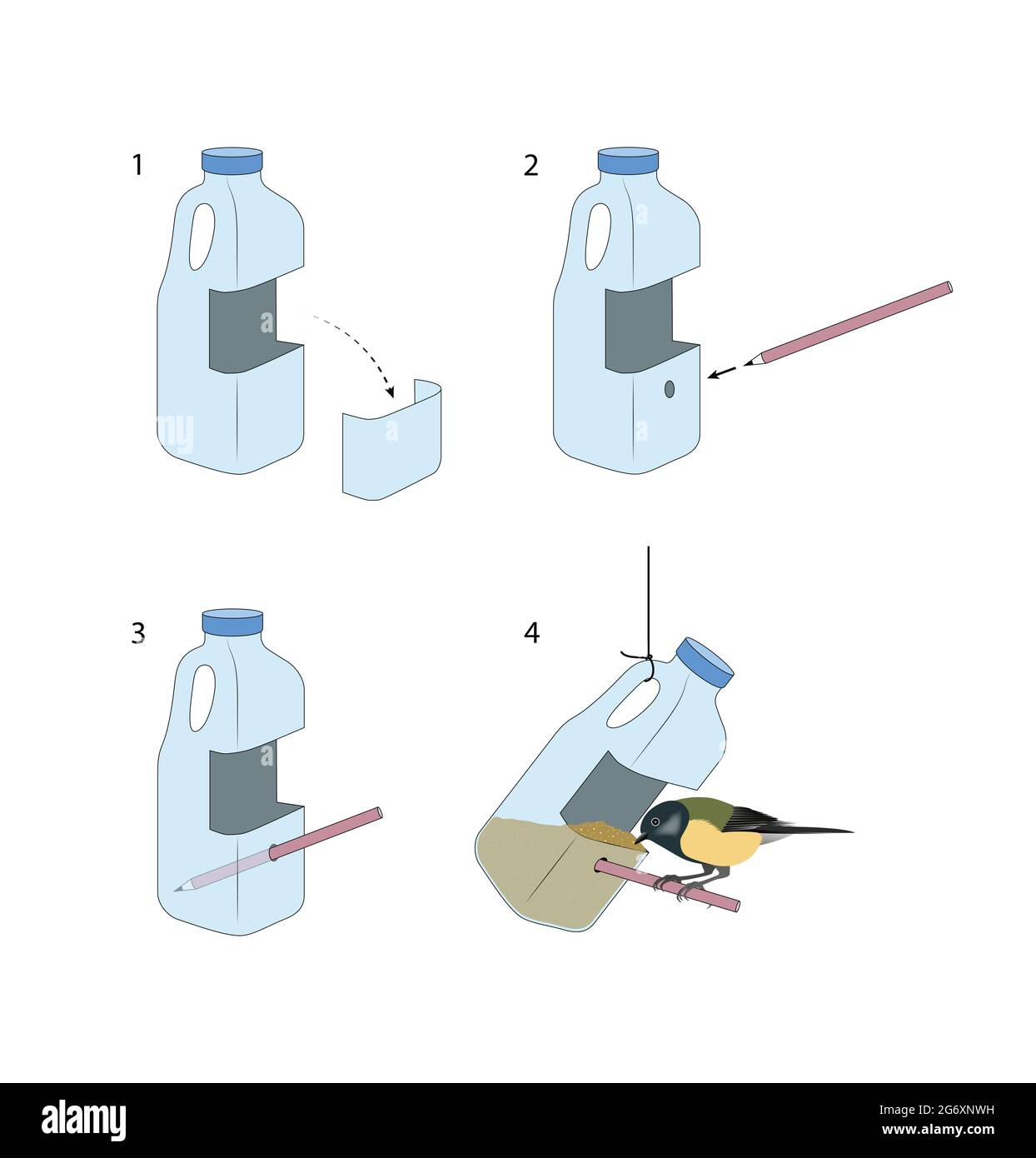 Backyard birds Cut Out Stock Images & Pictures - Alamy