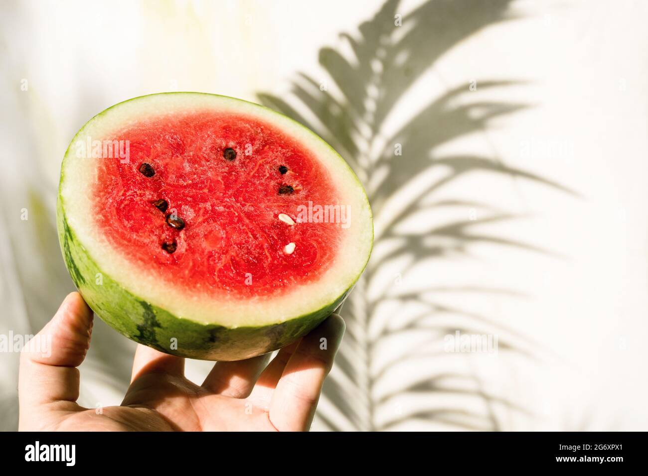 Watermelon, tropical fruit on a bright background, modern minimalist ...
