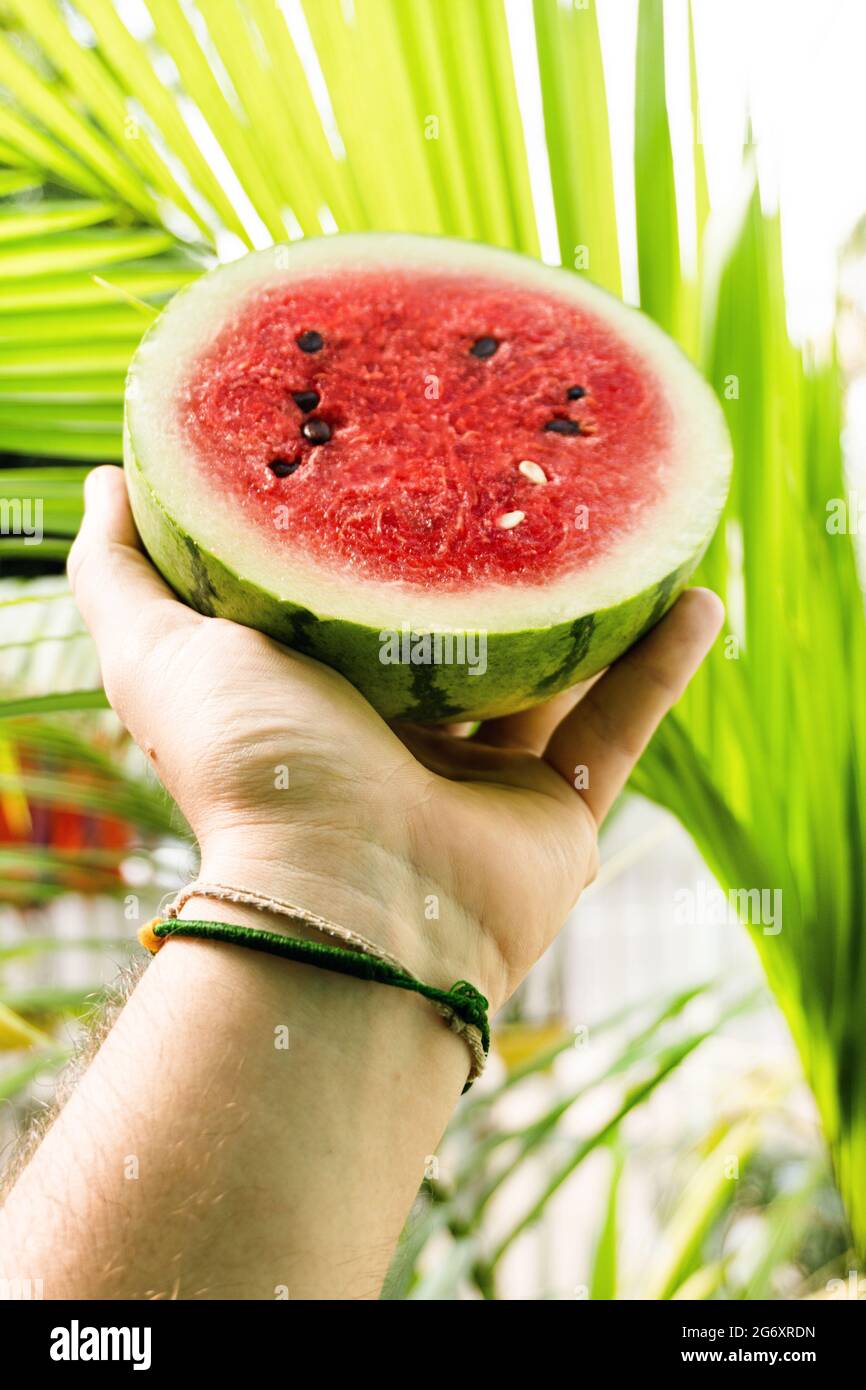 Watermelon, tropical fruit on a bright background, modern minimalist ...