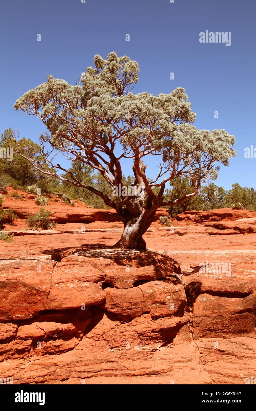 Landscape backgrounds hi-res stock photography and images - Alamy