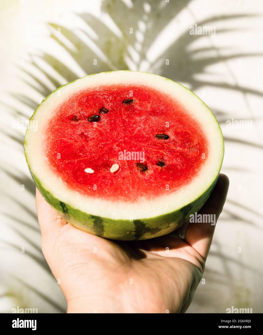Watermelon, tropical fruit on a bright background, modern minimalist ...