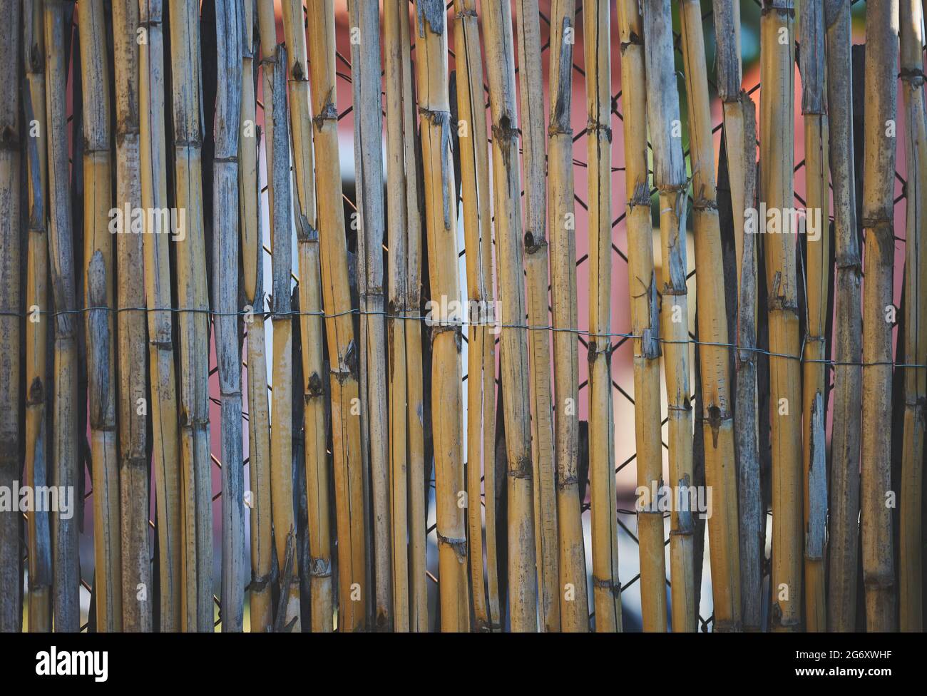Cane barrier hi-res stock photography and images - Alamy