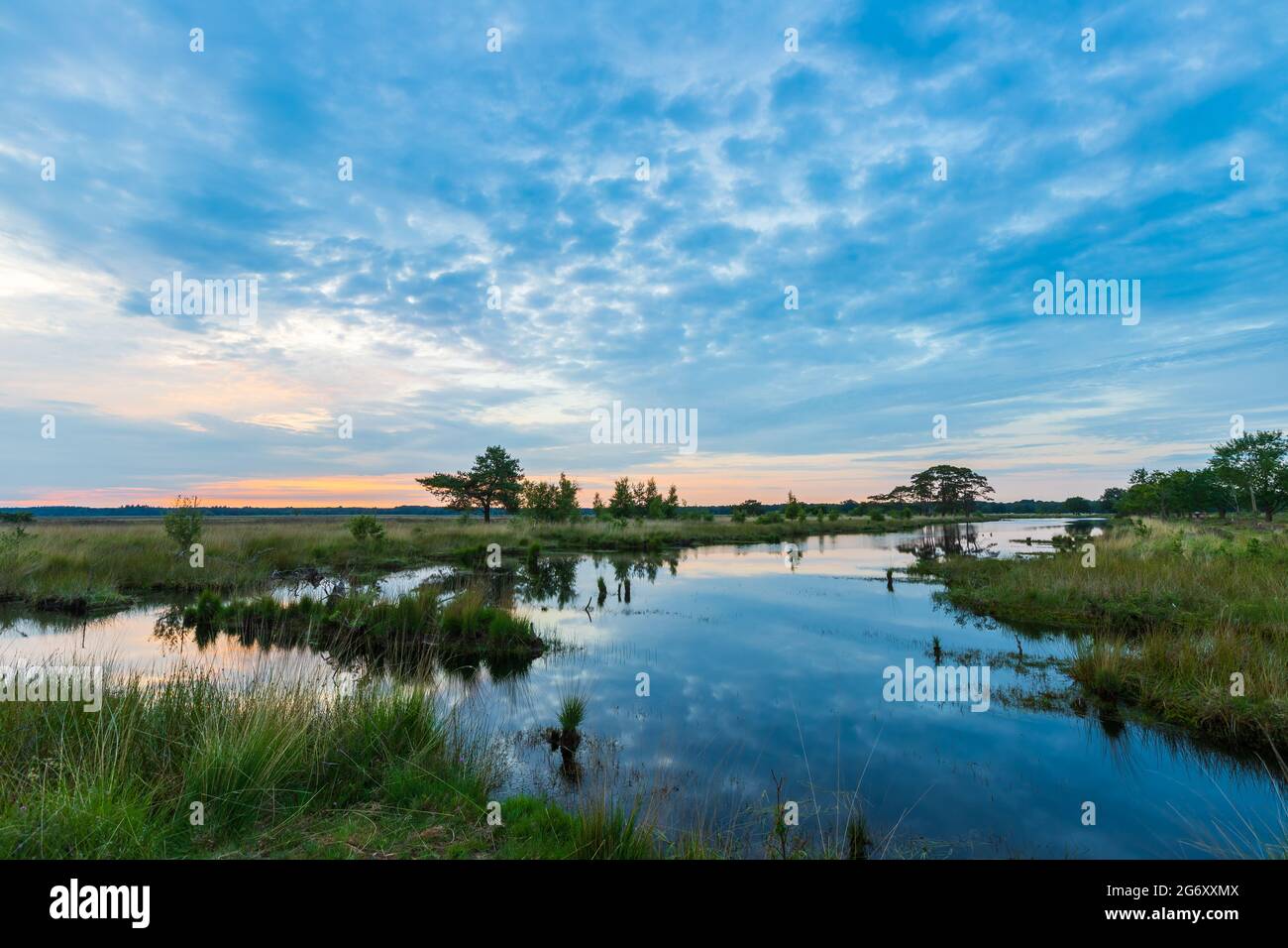 Dwingelderveld national park hi-res stock photography and images - Alamy