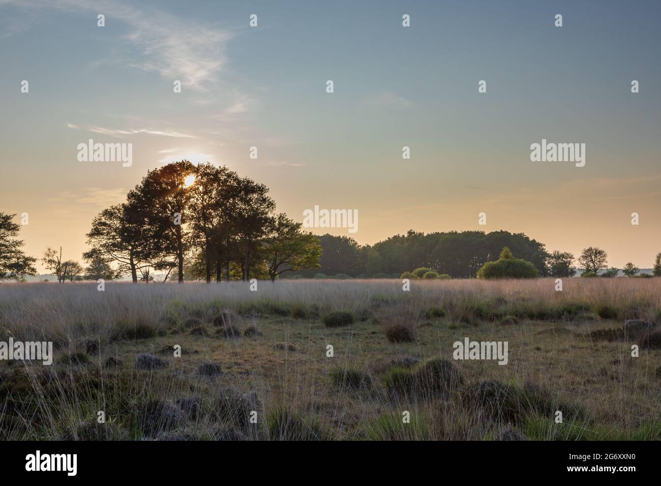 Dwingelderveld national park hi-res stock photography and images - Alamy