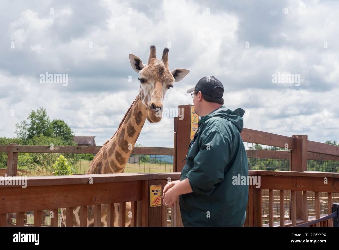 An employee of the Animal Adventure Park in Harpursville, NY visits ...