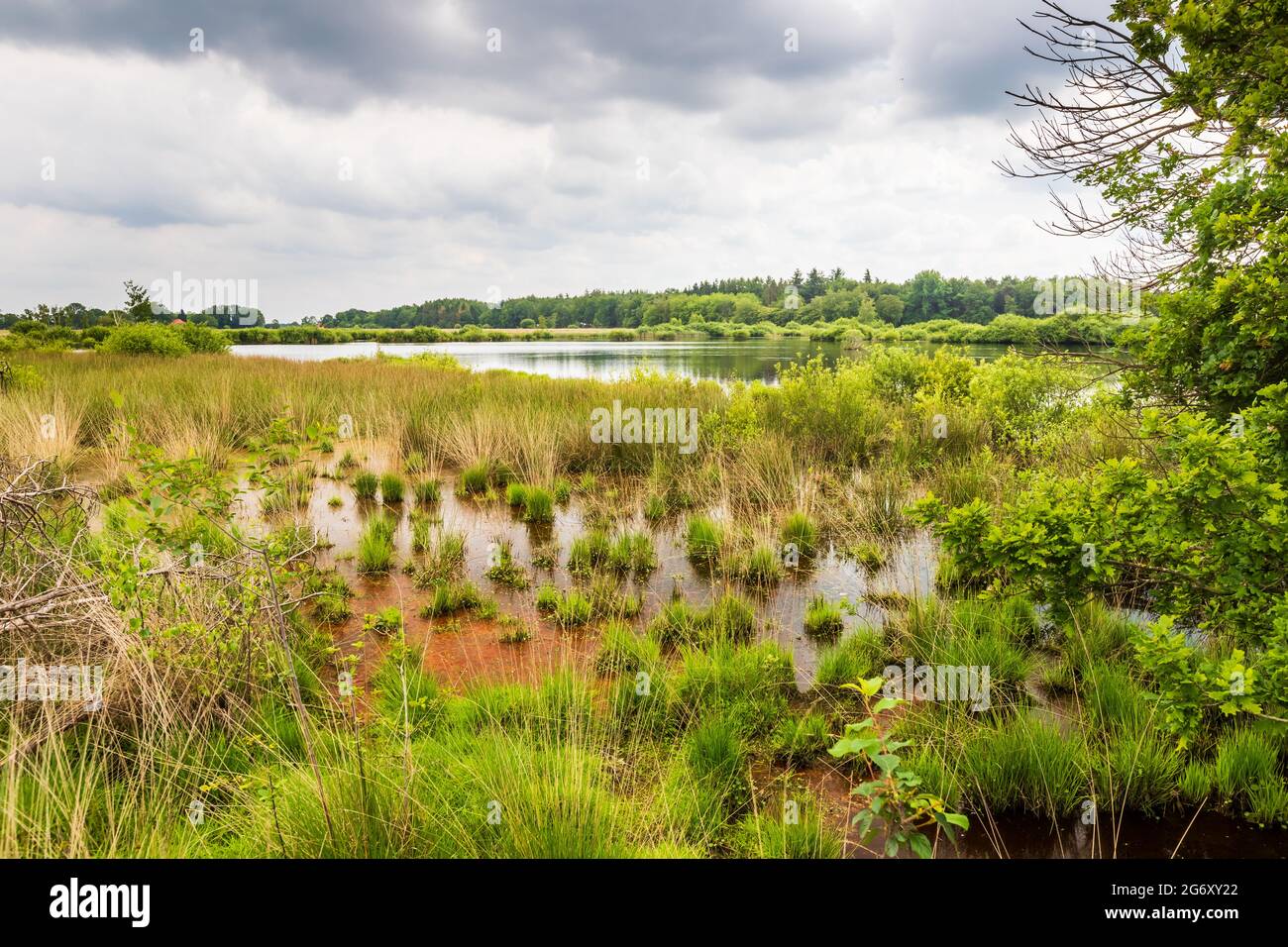 Dwingelderveld national park hi-res stock photography and images - Alamy