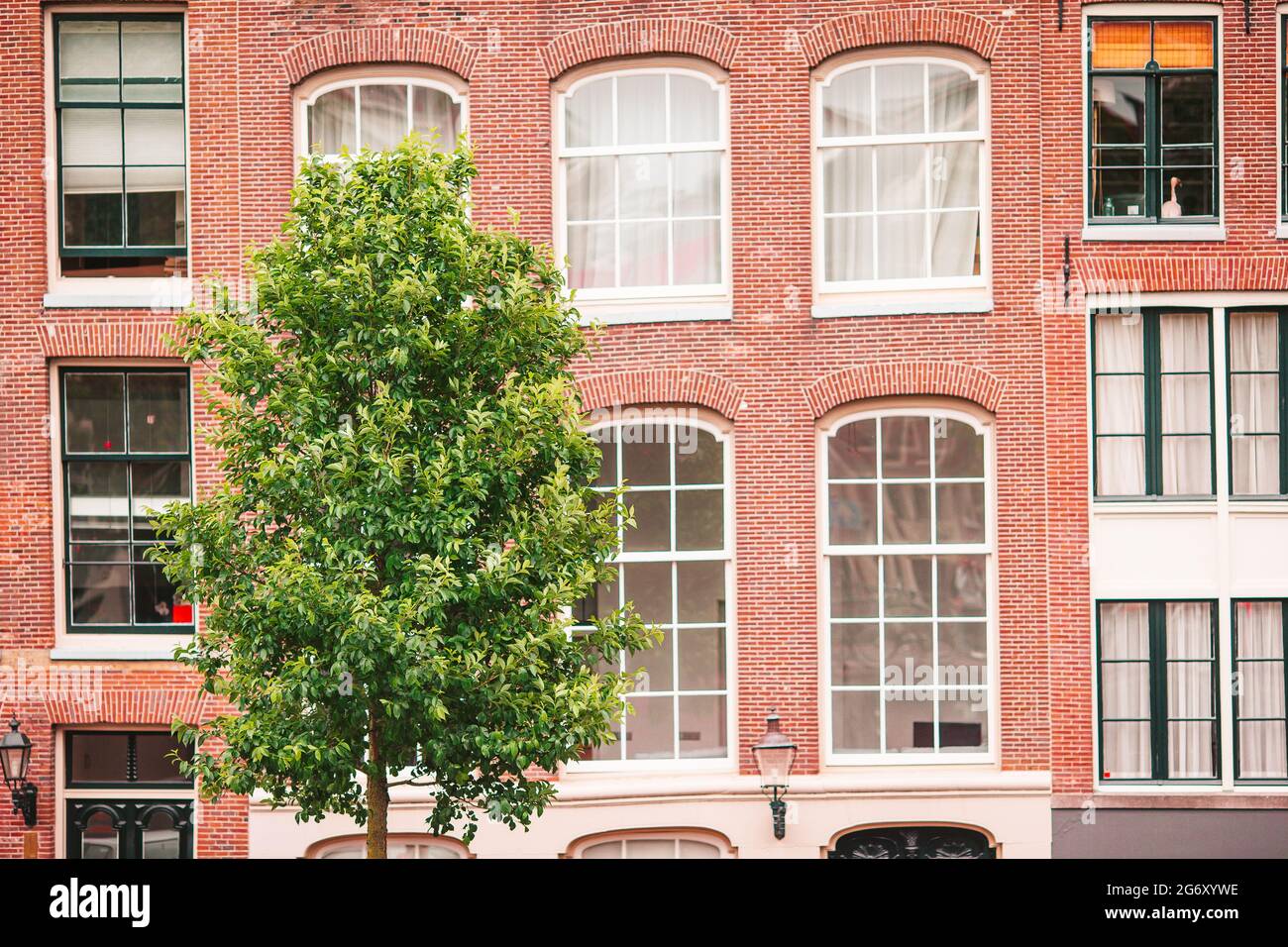 Traditional dutch medieval houses in Amsterdam capital of Netherlands ...