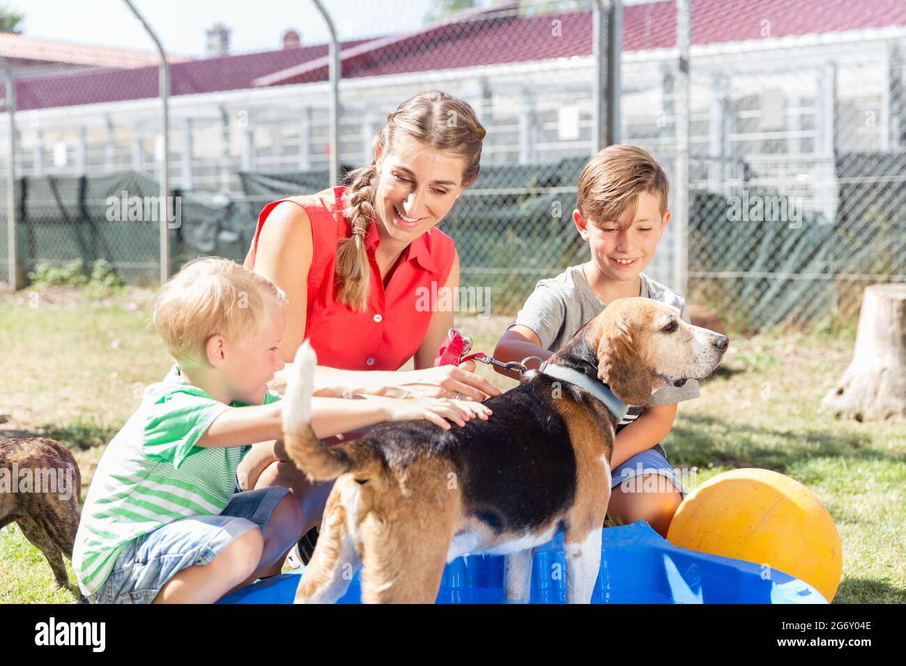 Family washing dog hi-res stock photography and images - Alamy