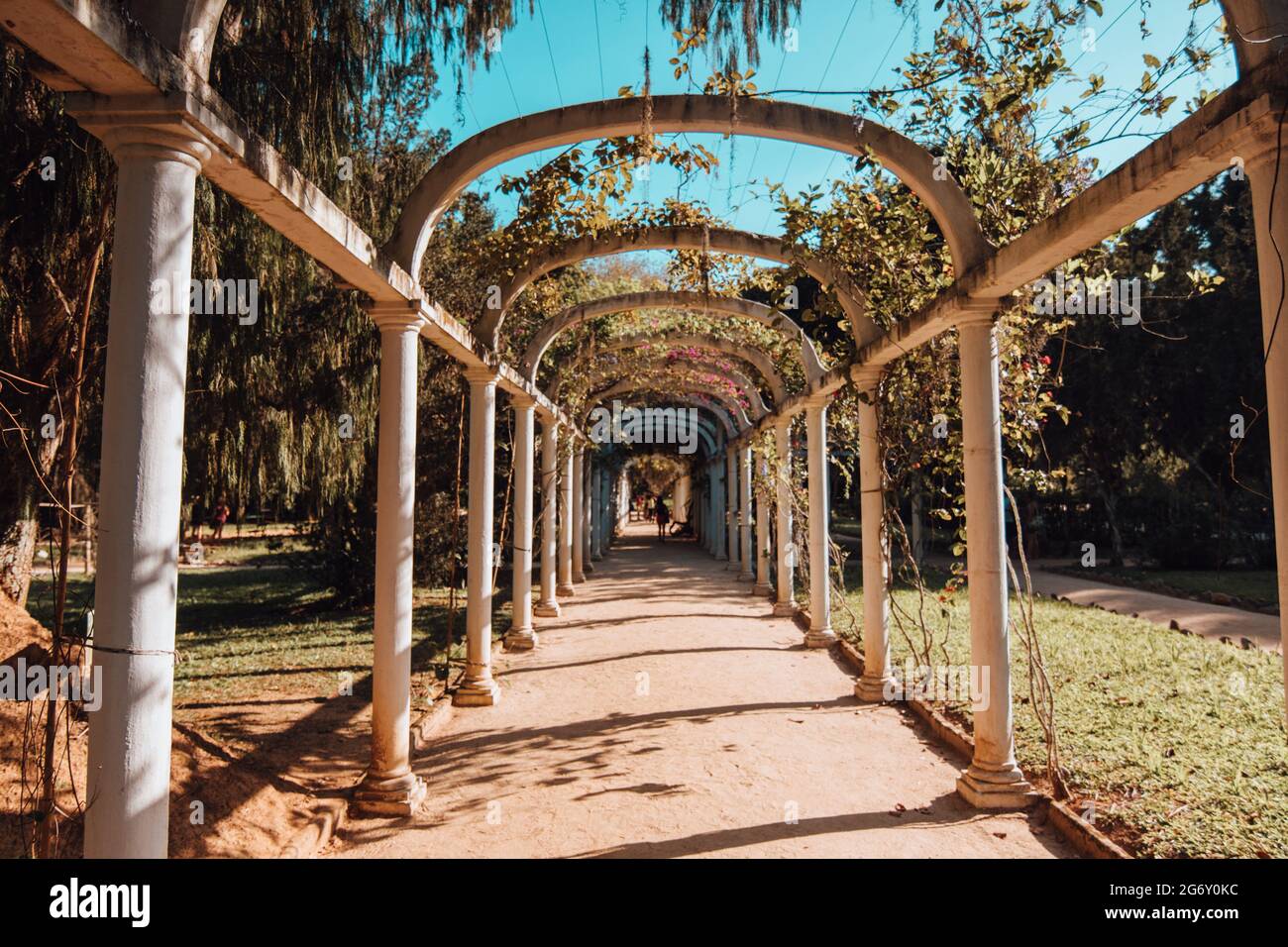 Road in the park under the long arch Stock Photo - Alamy