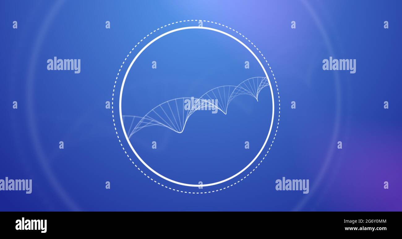 3D DNA structure forming over circles against blue background Stock ...