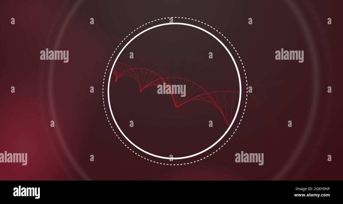 3D DNA structure forming over circles against red background Stock ...
