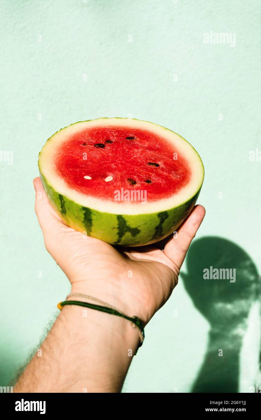 Watermelon, tropical fruit on a bright background, modern minimalist ...