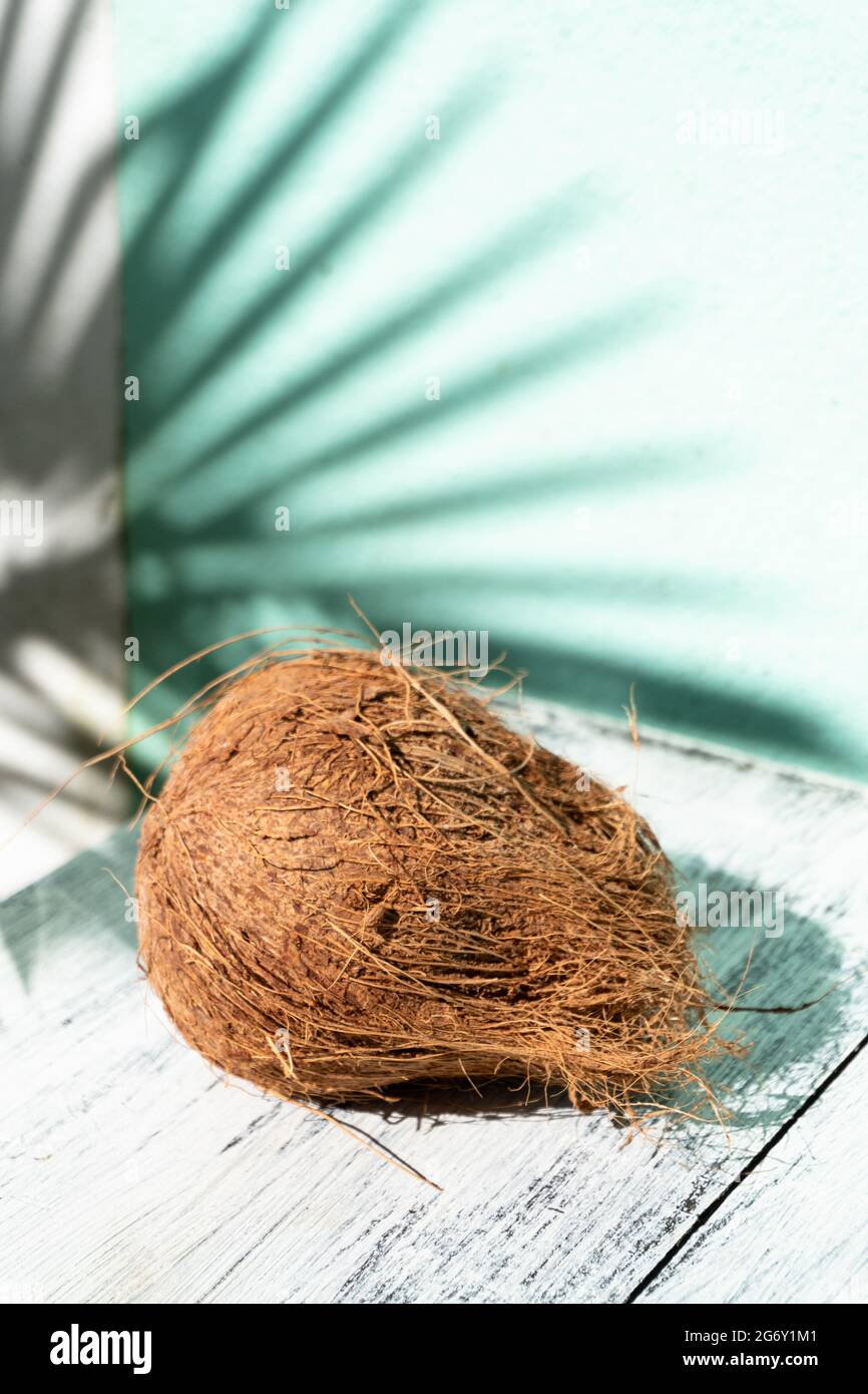 Coconut, a tropical fruit on a light background, modern minimal shoot ...