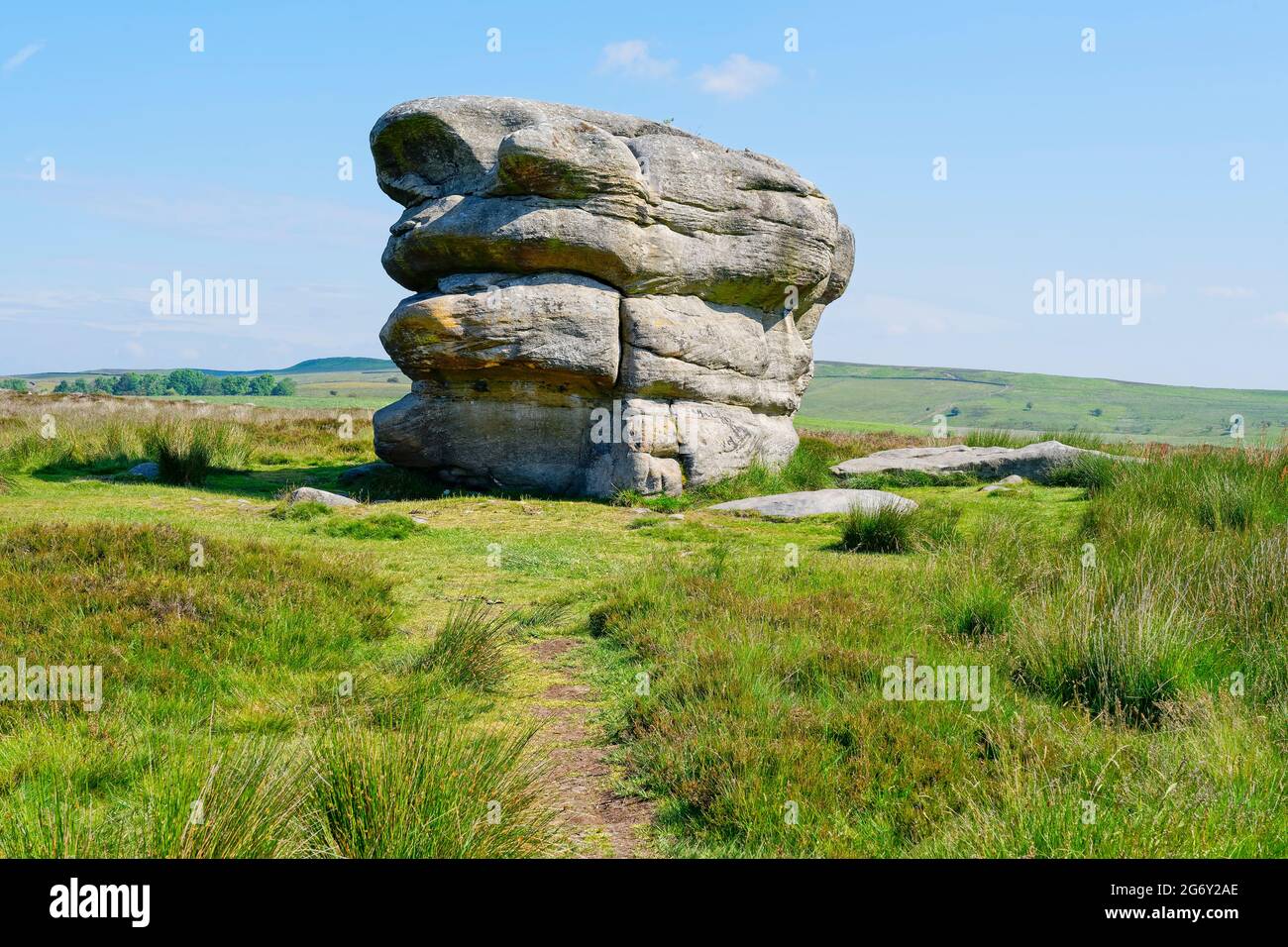Gritstone sandstone rock fern hi-res stock photography and images - Alamy