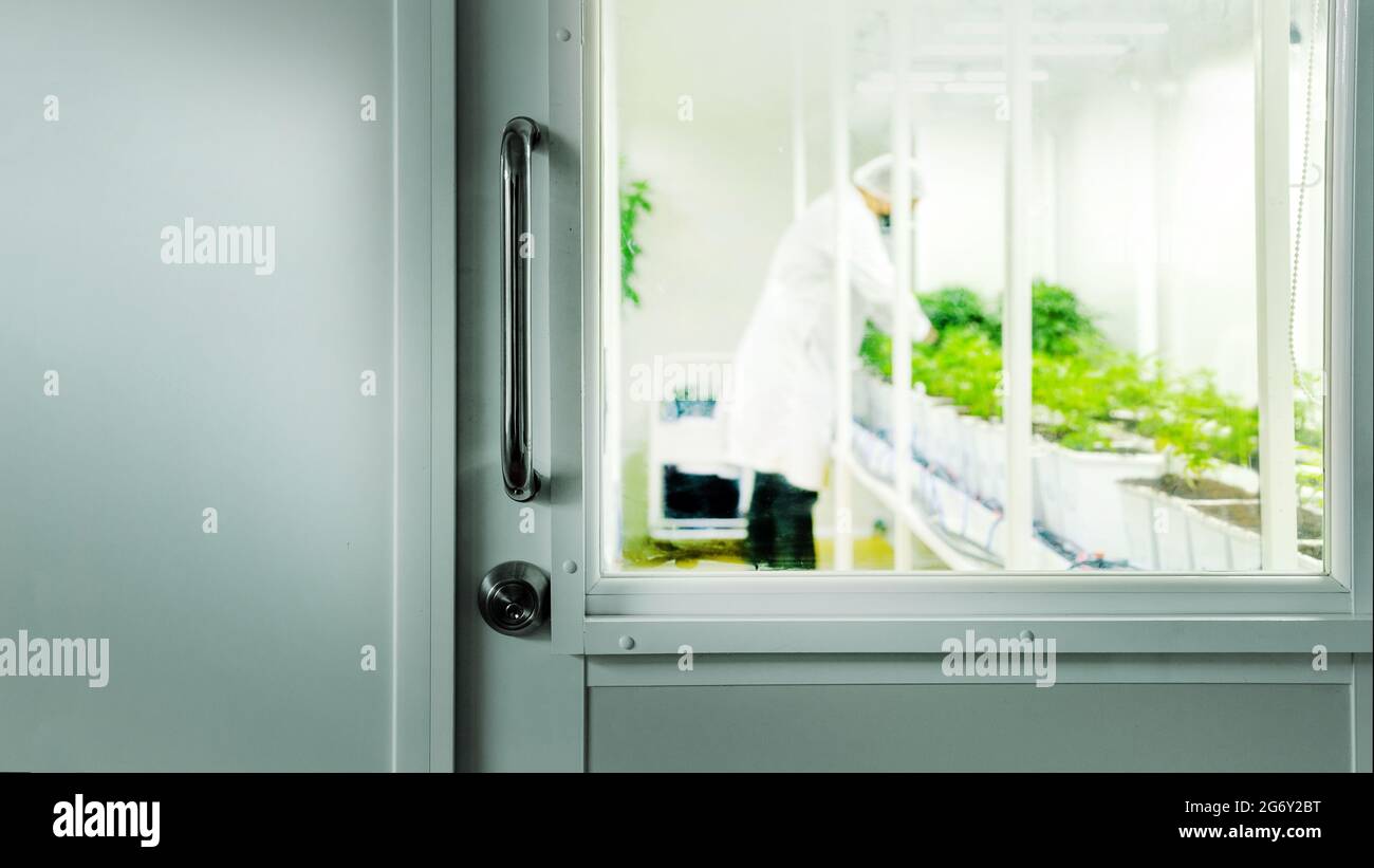 close door greenhouse lab in close farming agriculture for test Stock ...