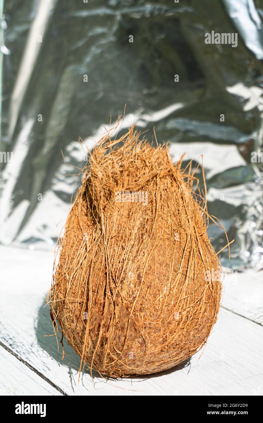 Coconut, a tropical fruit on a light background, modern minimal shoot ...