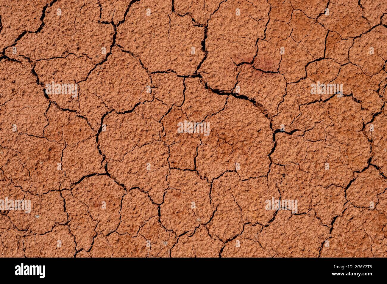 Dry, cracked clay soil in the summer heat Stock Photo - Alamy