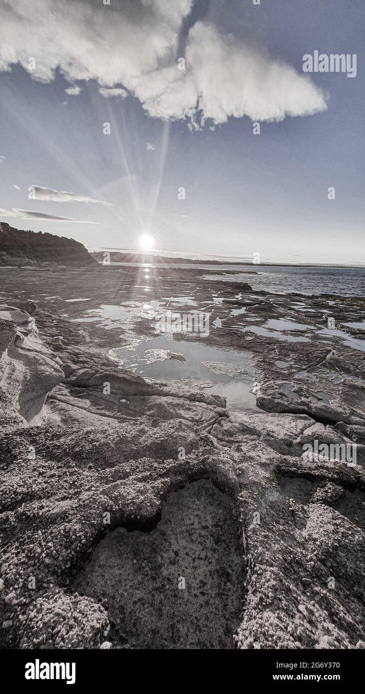 Grayscale Nature Photography