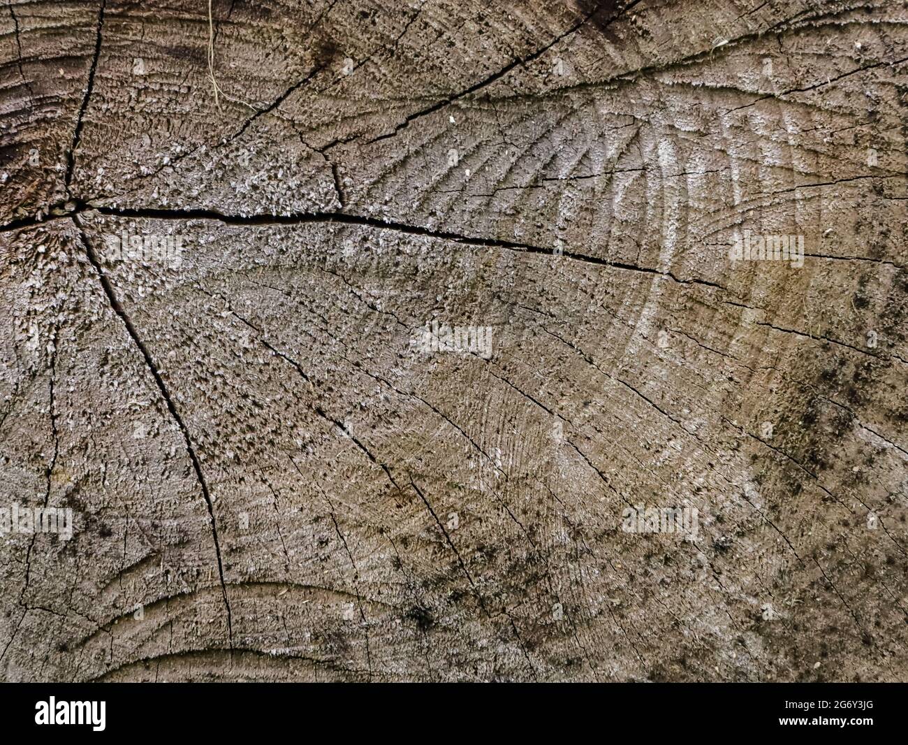 Texture and grooves of a wood log with closed framing that can be used ...