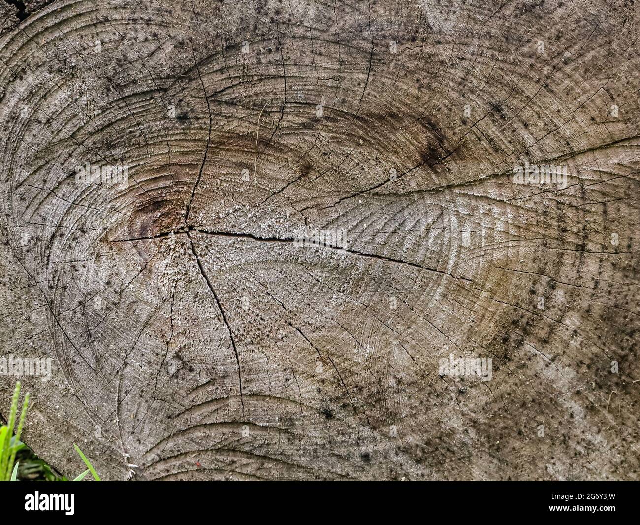 Texture and grooves of a wood log with closed framing that can be used ...