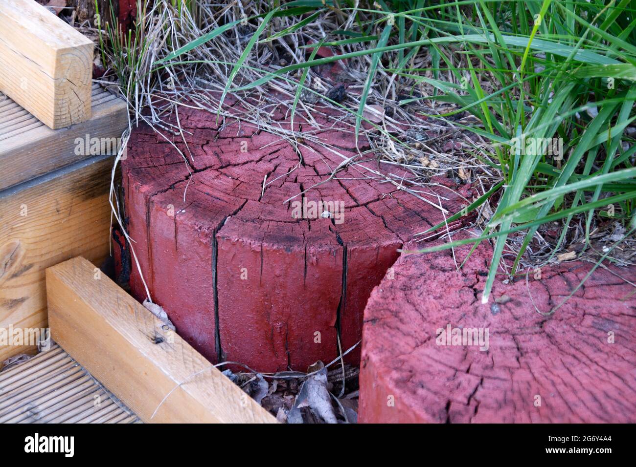 log stumps on the garden path Stock Photo - Alamy