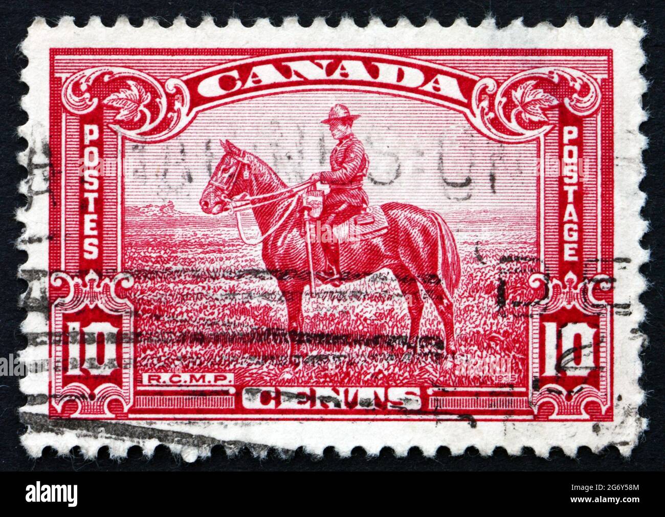 Royal canadian police horse hi-res stock photography and images - Alamy