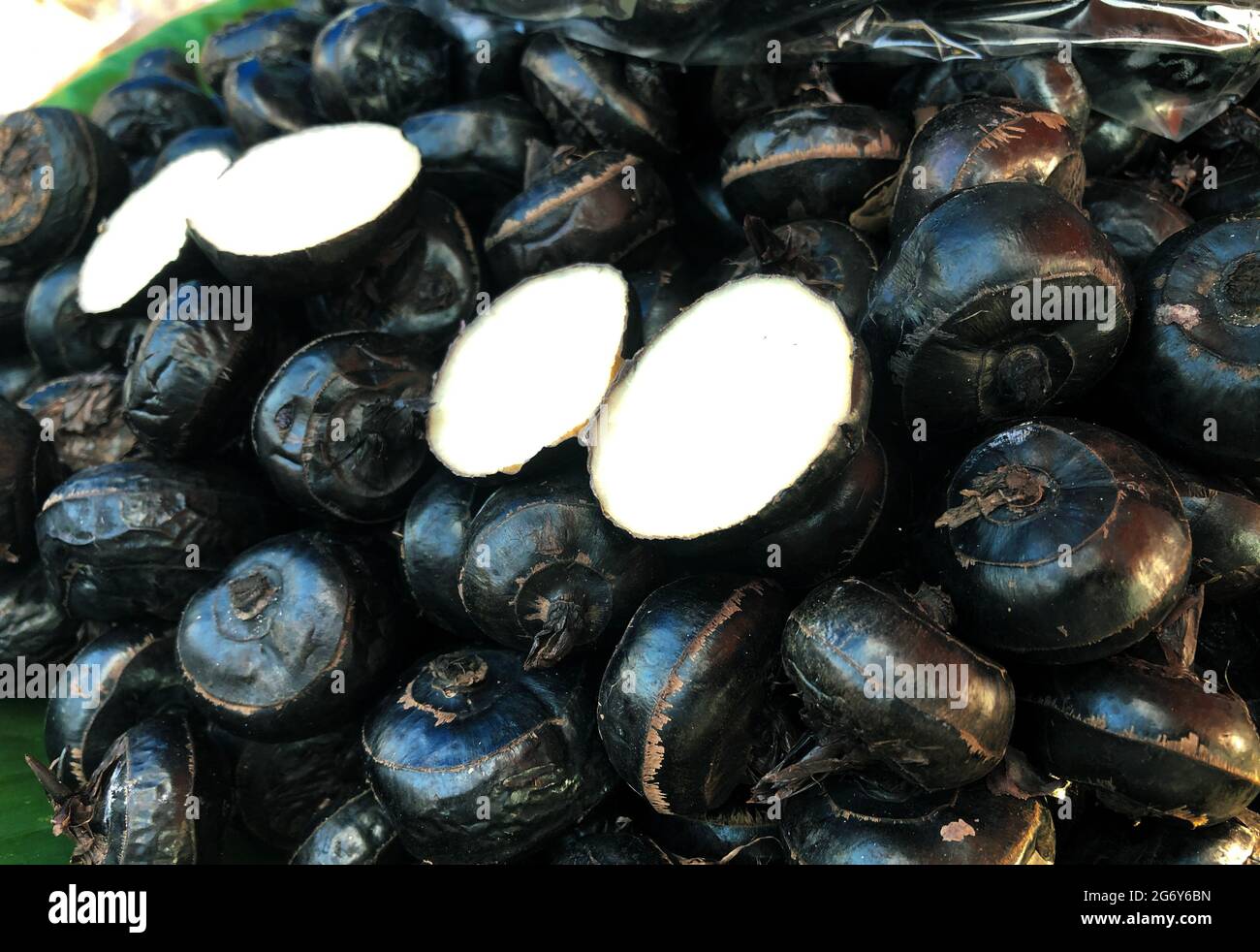 Waternut hi-res stock photography and images - Alamy