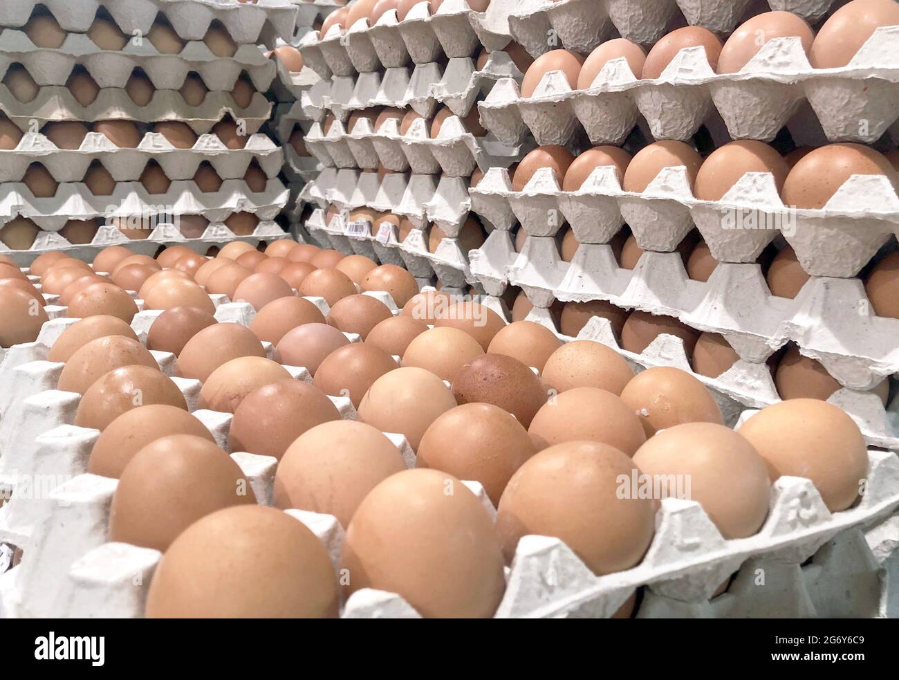roll of brown chicken eggs on paper rack pack in agriculture shop Stock ...