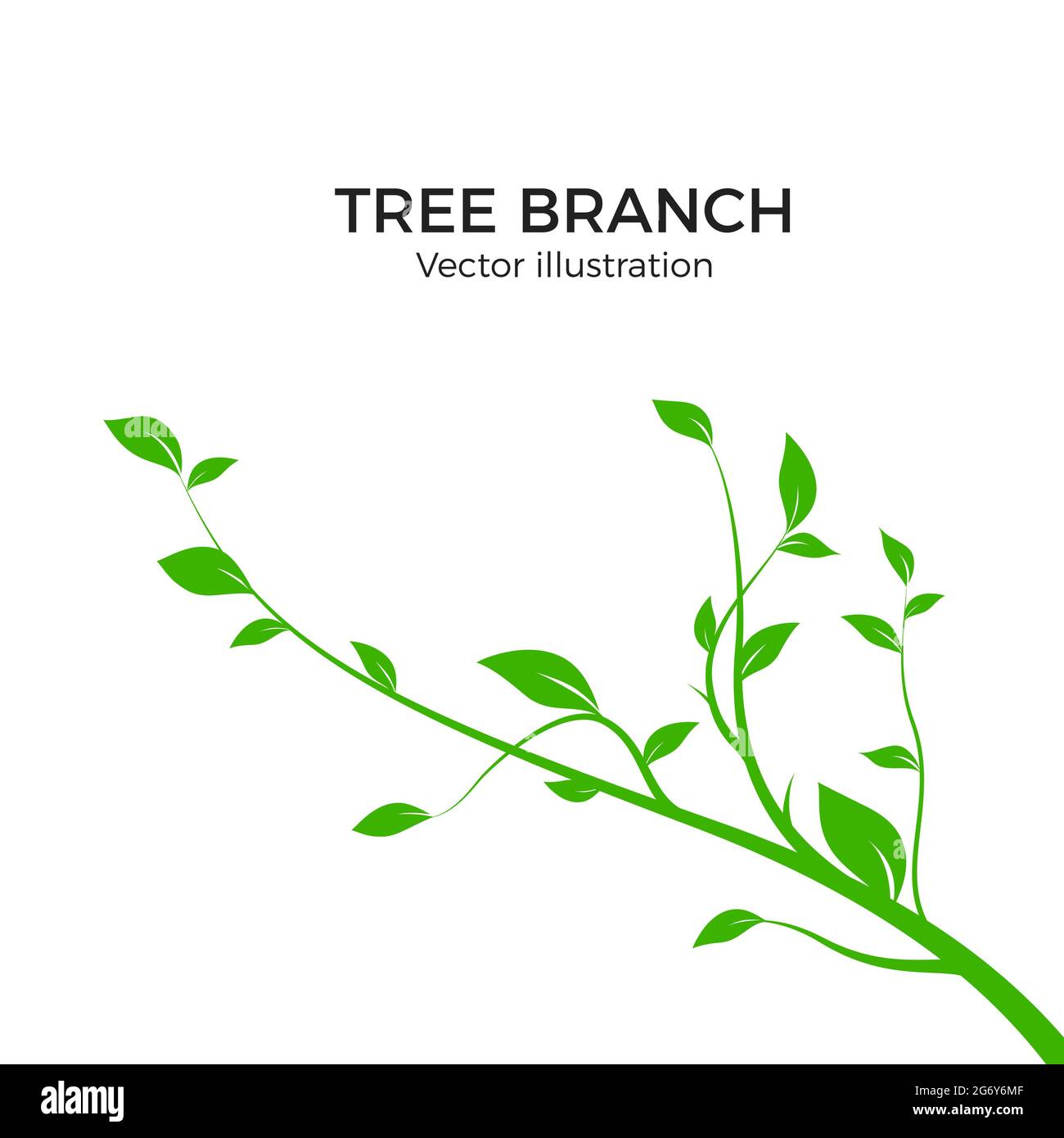 Tree Branch With Leaves Silhouette