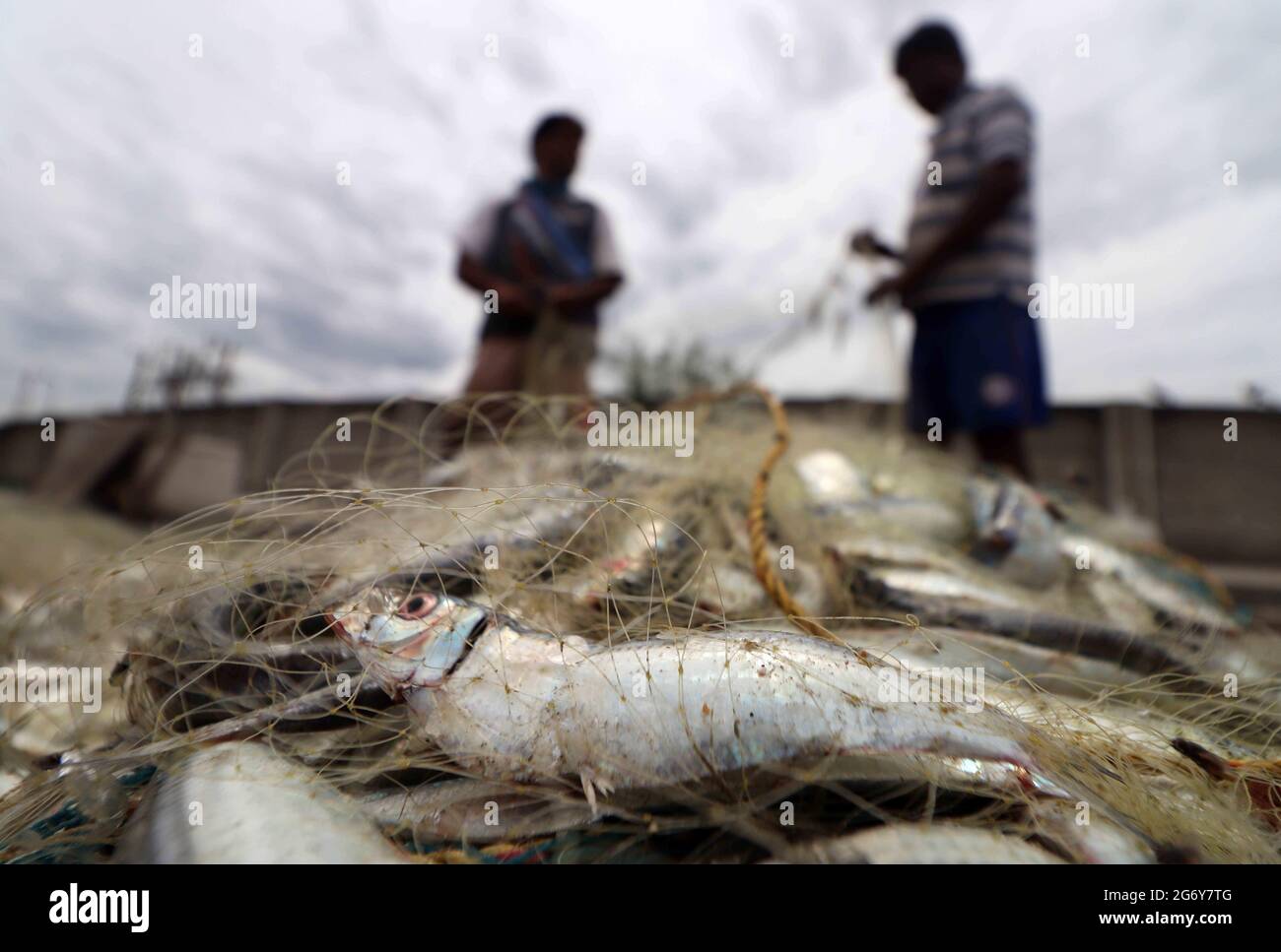 India tamil nadu chennai fish hi-res stock photography and images - Alamy