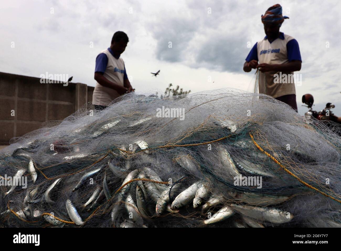 Chennai, Tamil Nadu, India. 9th July, 2021. Indian fishermen collect ...